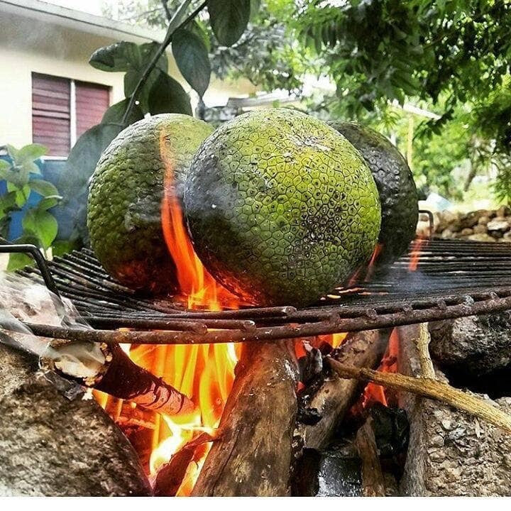 Online Grocery Shopping by Damfoods in Ajax, ON